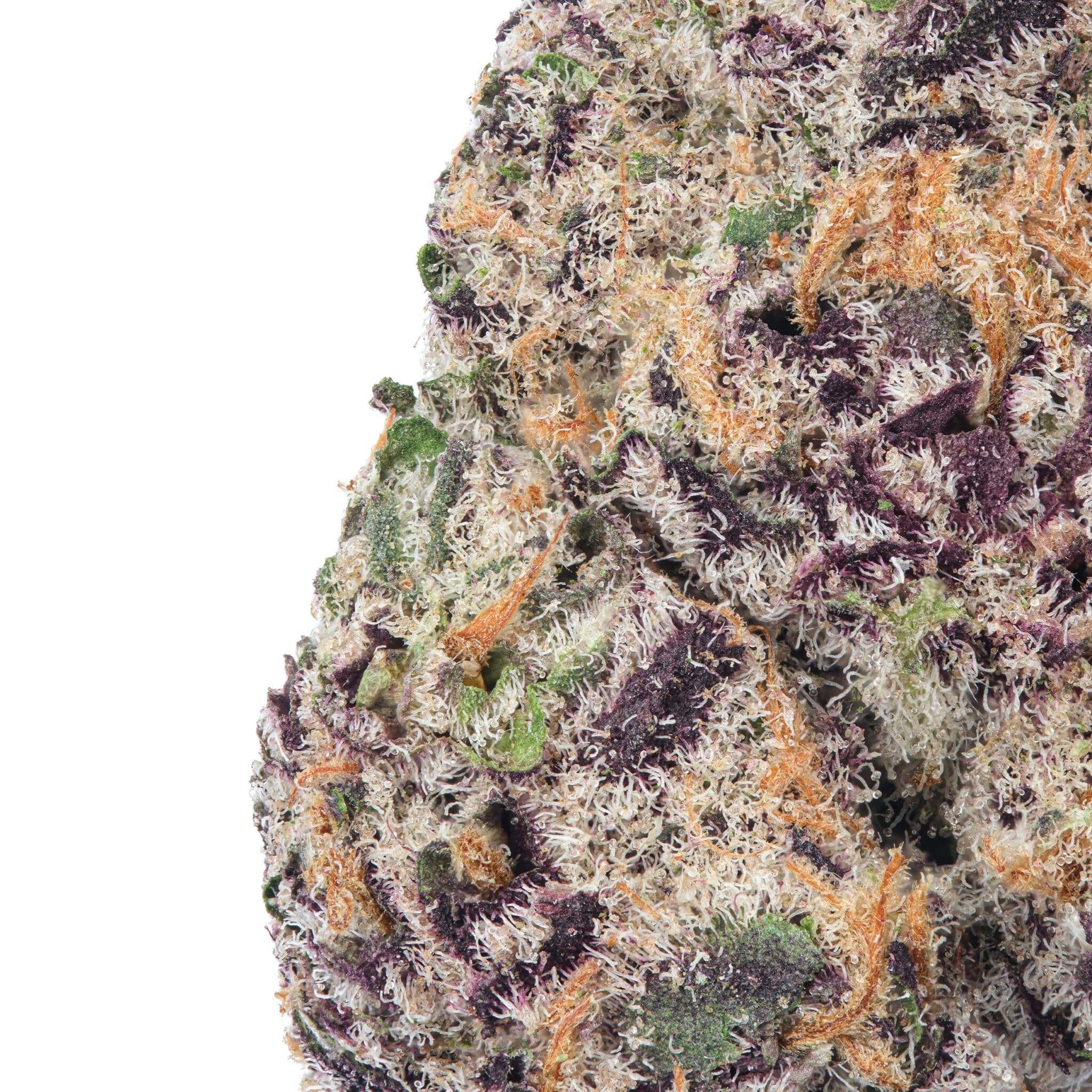 Miracle Alien Cookies High THCa Hemp Flower