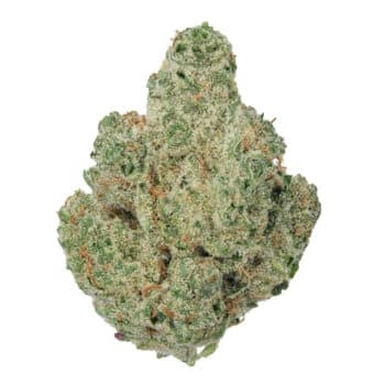 Sour Patch Kidz THCa Flower - Arete Hemp