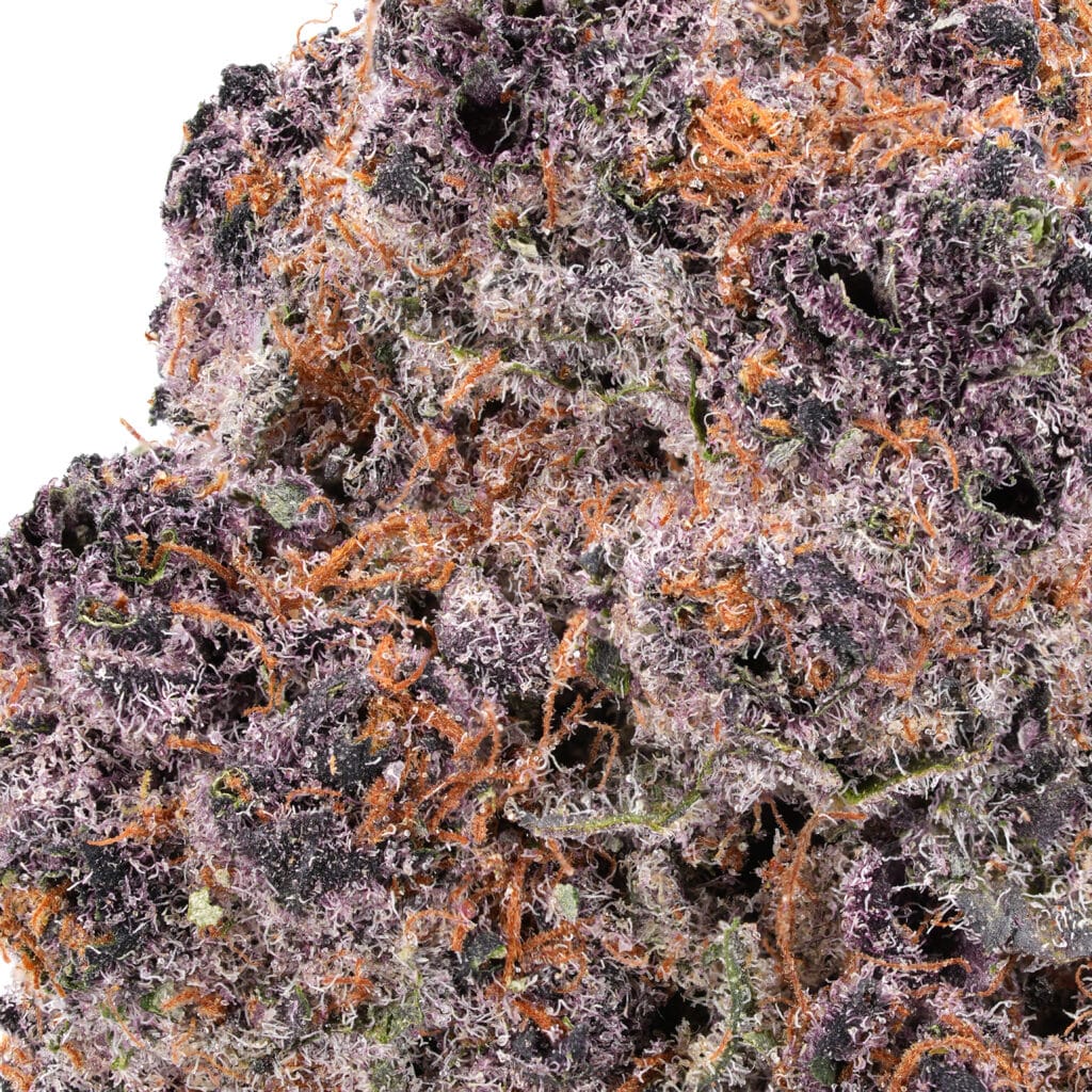 Granddaddy Purple THCa Flower Granddaddy Purple THCa Flower