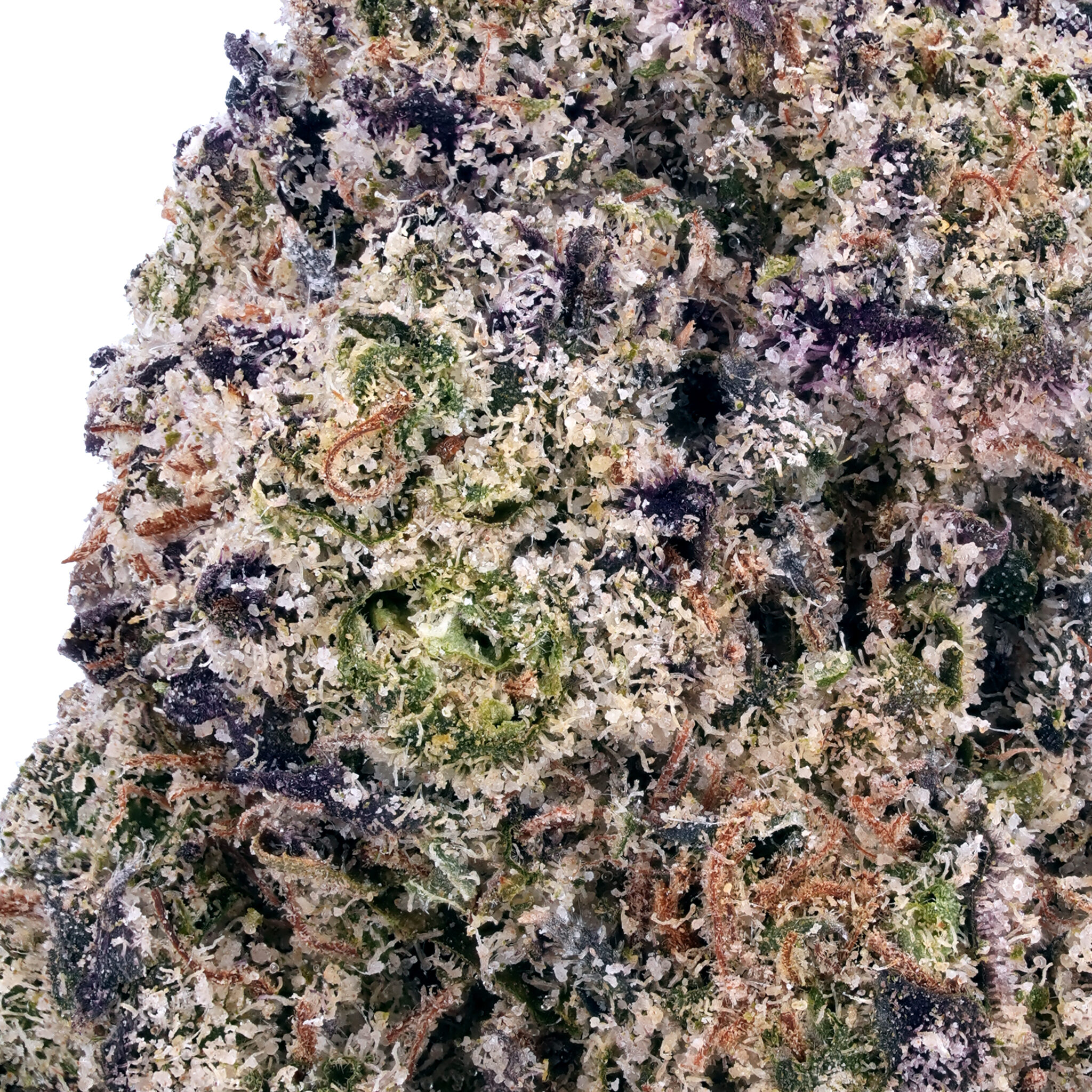 Miracle Alien Cookies THCa Flower