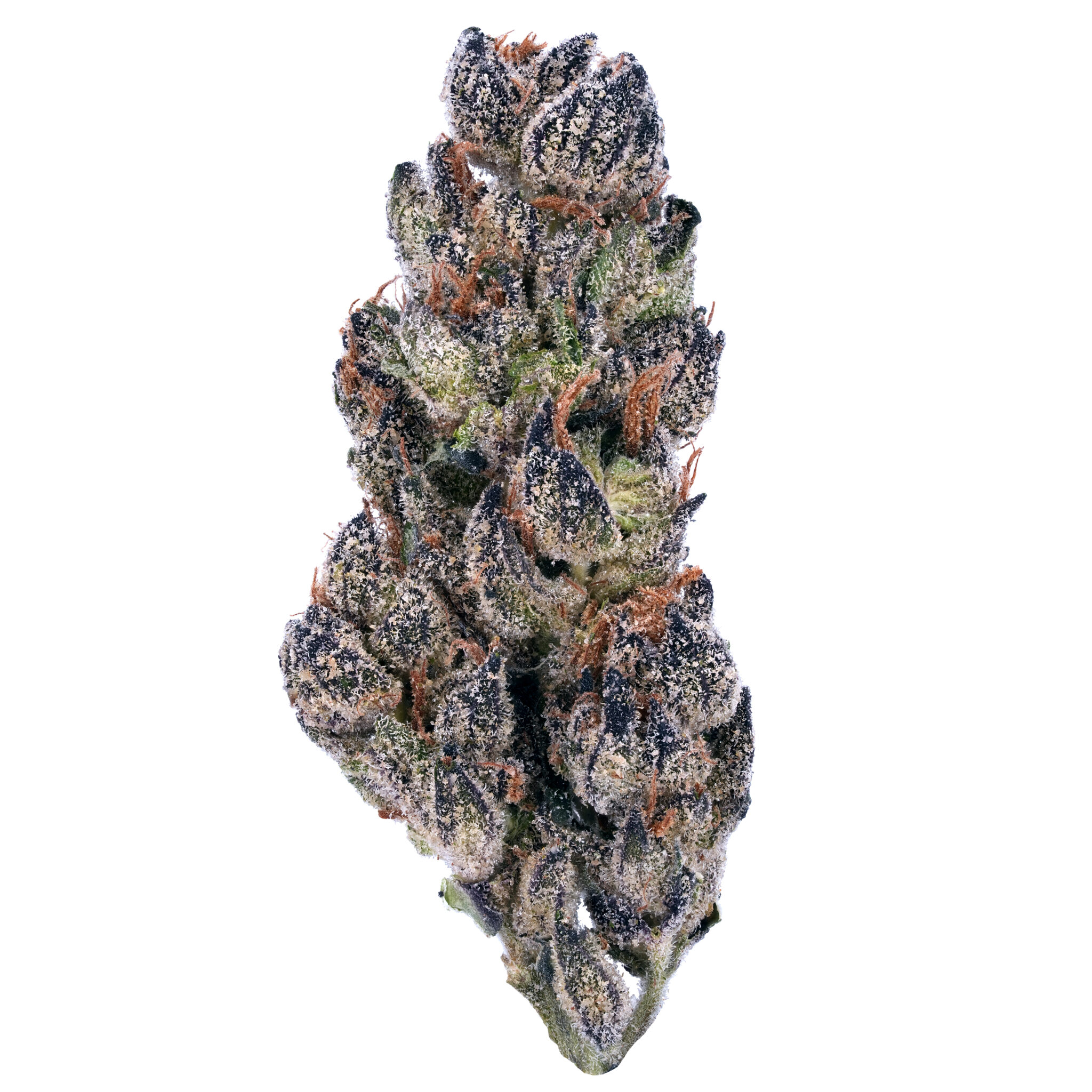 Cookies and Cream THCa Flower - Arete Hemp