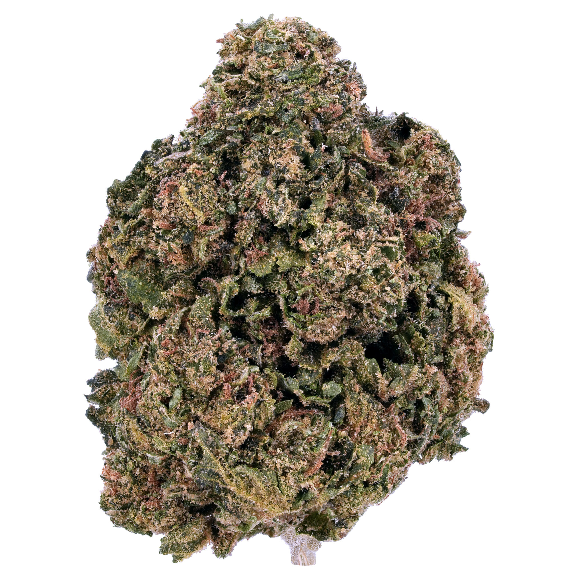 Miracle Alien Cookies THCa Flower